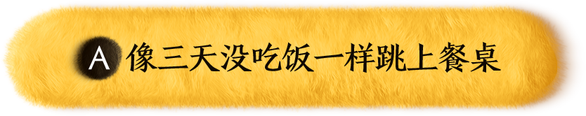 太二何英俊猫咪性格测试 太二何英俊猫咪性格测试